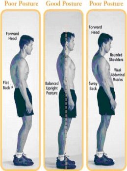 Back & Neck Pain? Check your posture – NaturWarriors